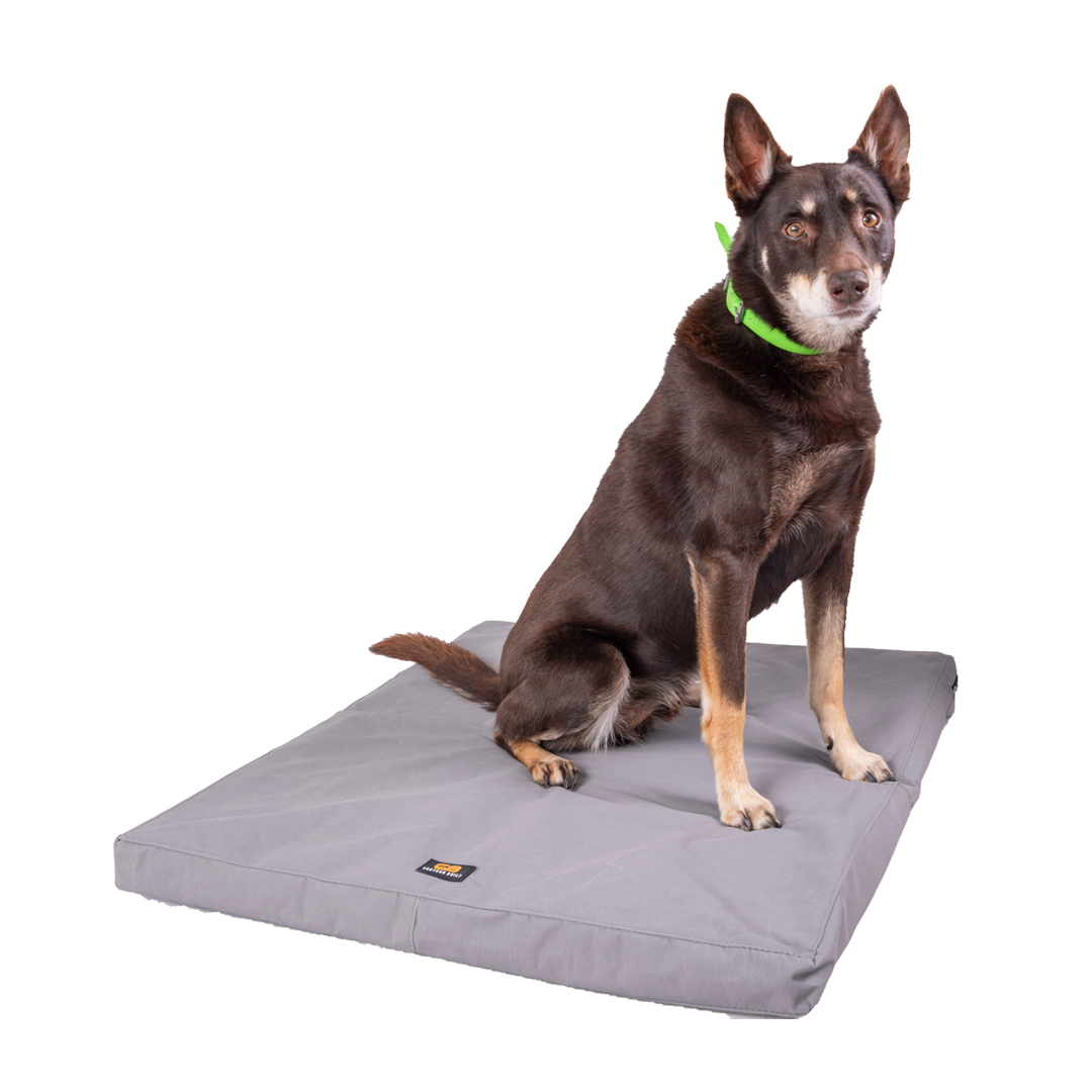 Canvas Dog Bed Contour Built Canvas Dog Bed Contour Built